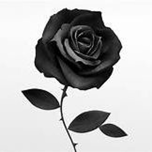 Stream RO$E$ by A.W.O.L._4L1f3 | Listen online for free on SoundCloud