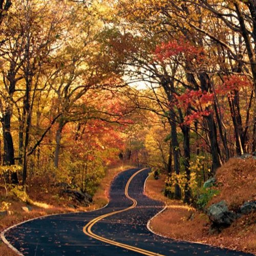 Stream Autumn Chill Minitape by Haunted Water☕ | Listen online for free ...