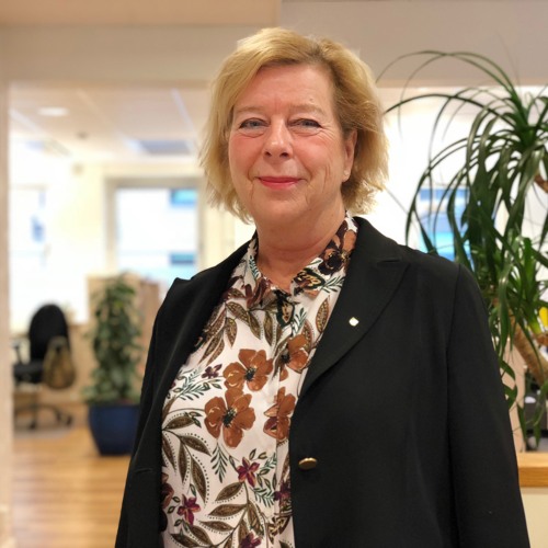 Stream Energi och glädje i chefsrollen by Chefspodden | Listen online ...