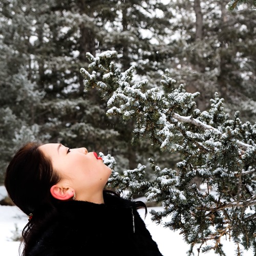 Stream Bi chamd khairtai. OST Би чамд хайртай by Gantulga Dashbaatar | Listen online for free on ...