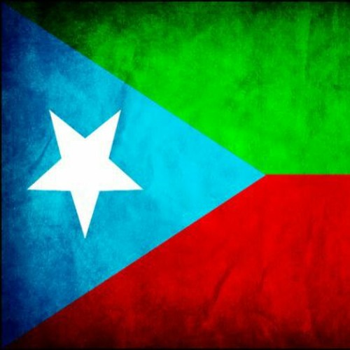 Balochistan Flag Wallpaper