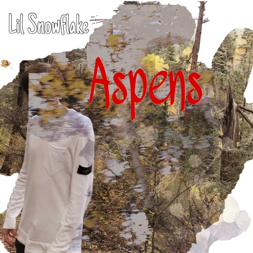 Stream Aspens (Prod. Pvps) by Lil Snowflake 💞 | Listen online for free ...