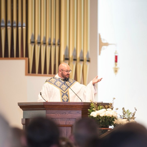 Stream Homily - Fr. Patrick Schultz - 31st Sunday In Ordinary Time by ...