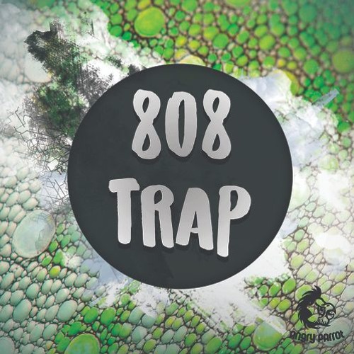 Stream Angry Parrot - 808 Trap by SynthPresets | Listen online for free ...
