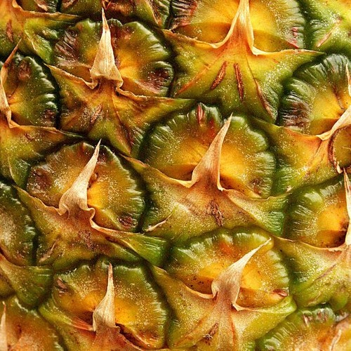 Stream Donnie Diss Track Pt. 3 (The NorthWest Experience) by Lil Pulse ...