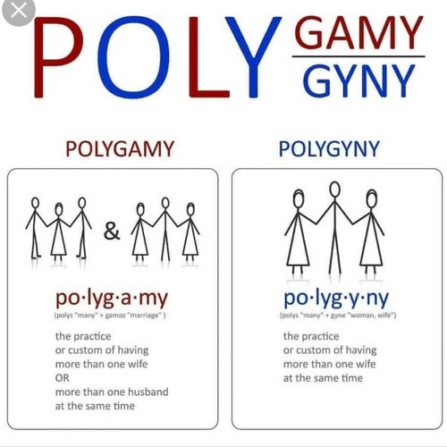Polygyny
