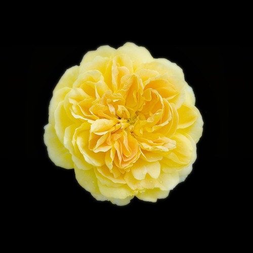 Stream synthion - twinkle (john hanner remix) by john hanner | Listen ...