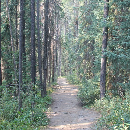 Stream T by Ryan Whitty | Listen online for free on SoundCloud