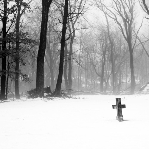 Stream pale flag (erie's decline) by tales of adler | Listen online for ... Stream pale flag (erie's decline) by tales of adler | Listen online for ...