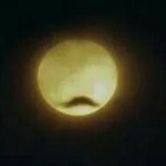 Dylan Bolt's Instagram, Twitter & Facebook on IDCrawl