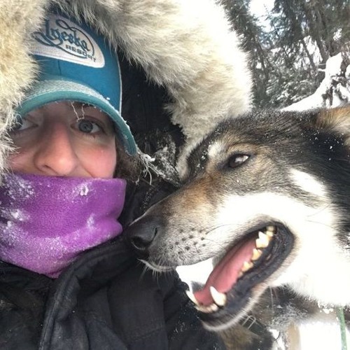Stream Episode Emily Maxwell Season 2 Episode 7 By Husky Talk Podcast Listen Online For Free