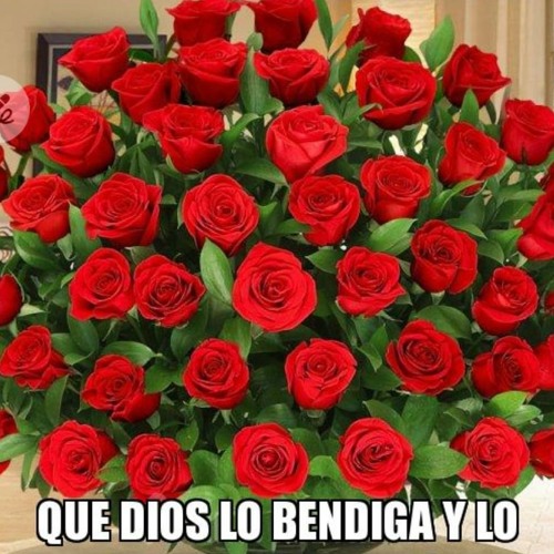 Stream Amado mío rosa ferrer by rosannatatis | Listen online for free ...