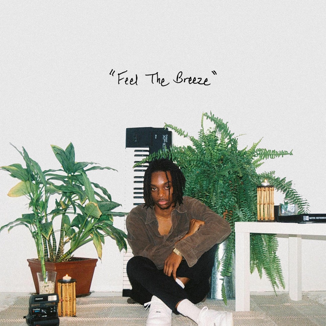 Stream Feel The Breeze - Flwr Chyld x Nai Br.XX by Flwr Chyld | Listen ...