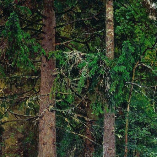 Stream Forest Dream II by Evan Gunderson | Listen online for free on ...
