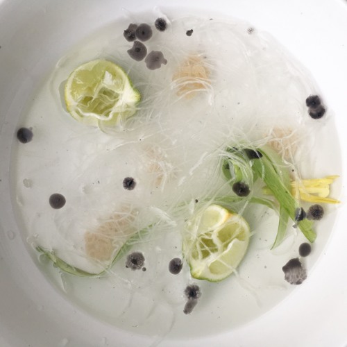 Stream Ian Hatcher reads "Corpse Pose" by Claire Donato by Claire ...