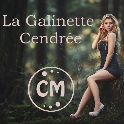 Stream Le Galinette Cendrée - CM (HardTek Remix) by CM #DJCM | Listen ...