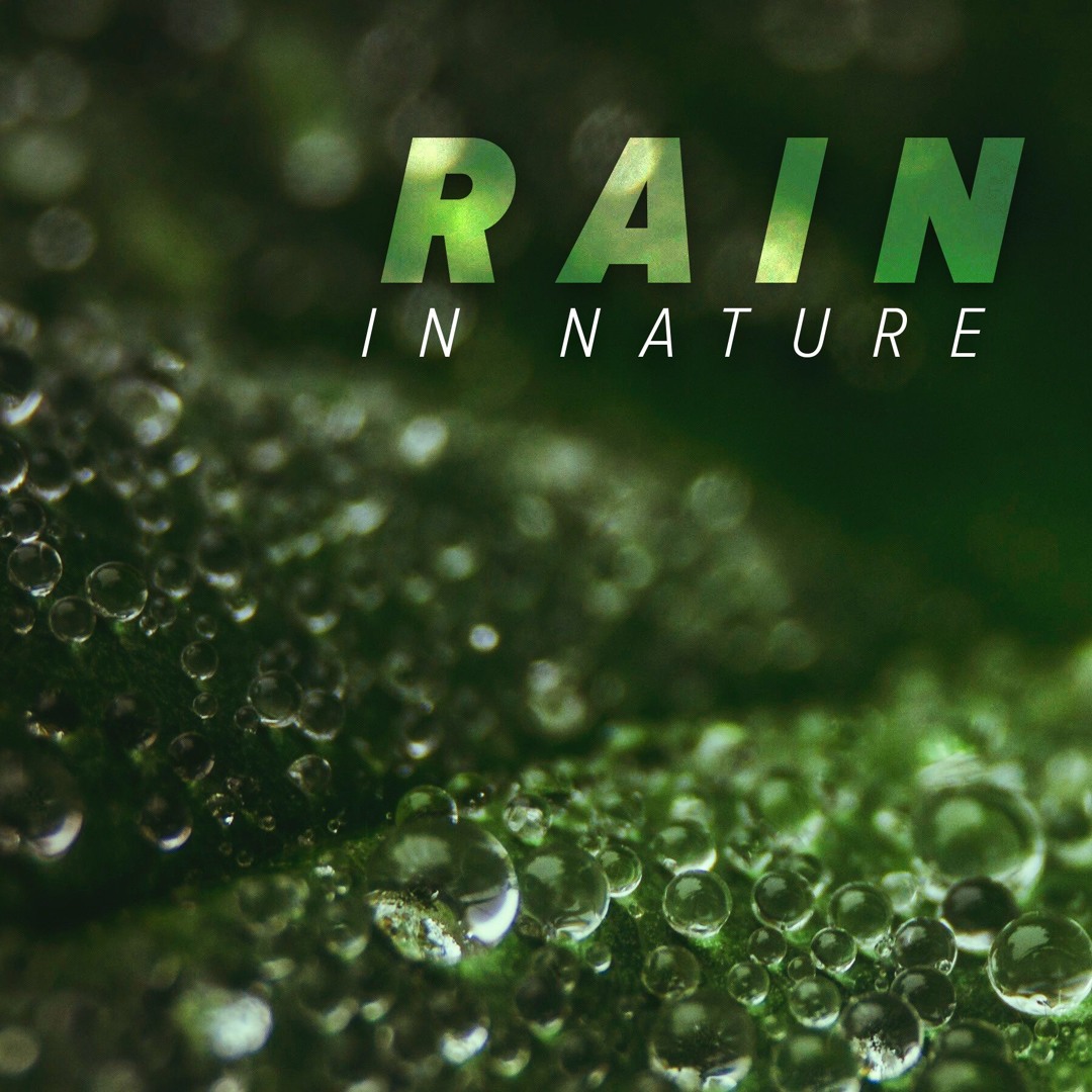 Stream Rain in Nature Sound Effect Library by Silverplatter Audio ...