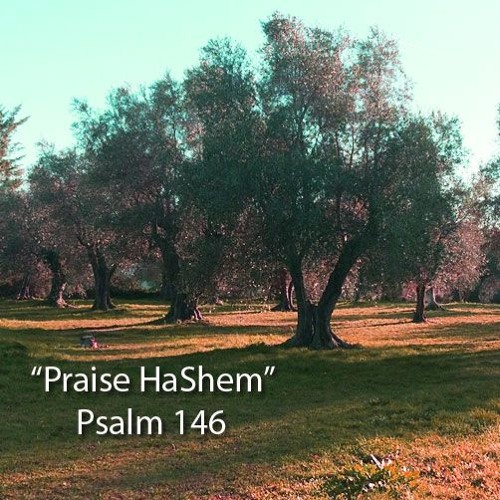 Stream Hallelujah Praise HaShem (Psalm 146) by Henta Ellis | Listen ...