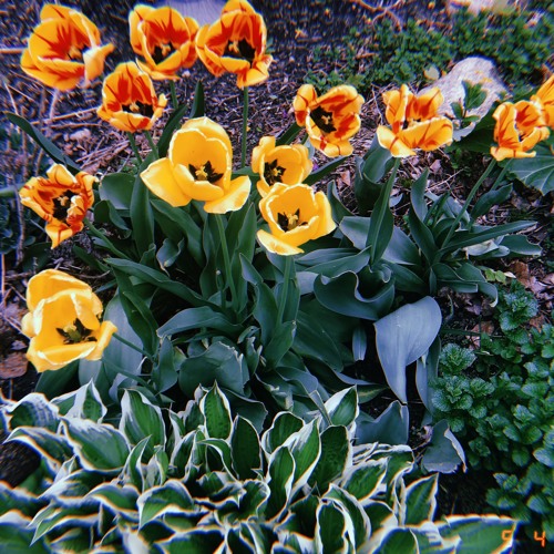 Stream Colors by Jen Howe | Listen online for free on SoundCloud