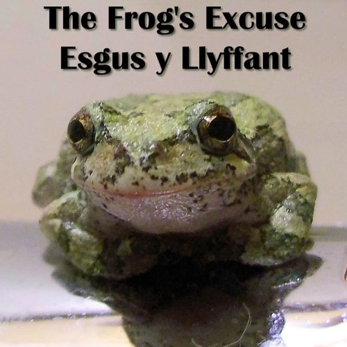 Stream The Frog's Excuse / Esgus y Llyffant by Simon Ager | Listen ...