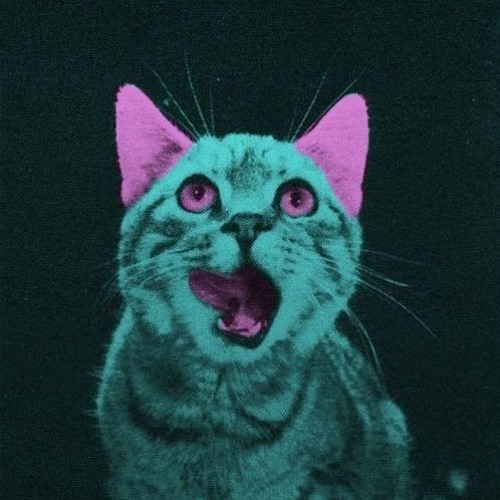 Stream WildCat - MIXTAPE Vol 01 by WildCat | Listen online for free on ...