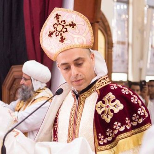 Stream How Do I Manage My Friendship Groups (Fr. Samuel Fanous) by ...