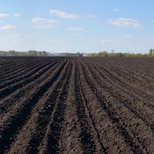 Stream The Simple Miracle That Helped the Whitmers Further the Book of ...