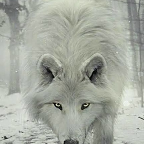Stream Wolf Fenrir-Ice ️ by Fenrir Official | Listen online for free on ...
