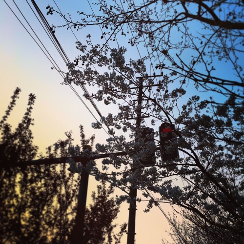 Stream Demo 2018.10.21 - Poems by Amaranth | Listen online for free on ...