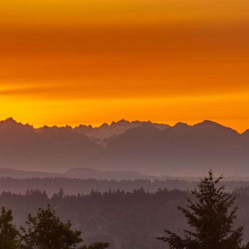 Stream Cascada (recording 2) by Oliver Buckland | Listen online for ...