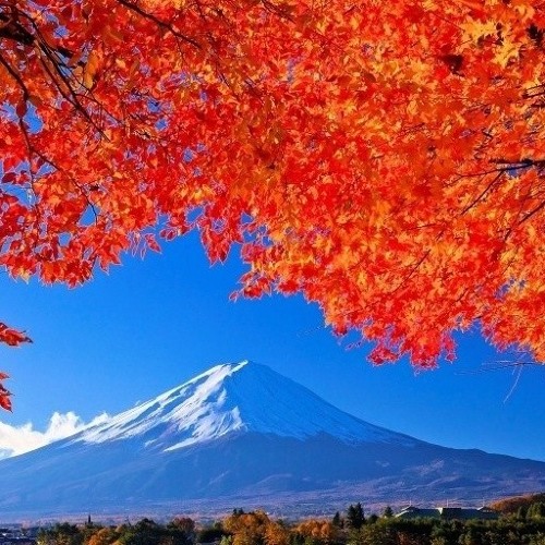 datfootdive - Aki by *coconut waddle* | Free Listening on SoundCloud