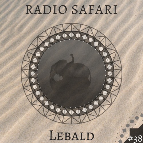 Stream Radio Safari #38 (DJ Guest : Lebald) by Soul Of Zoo | Listen ...