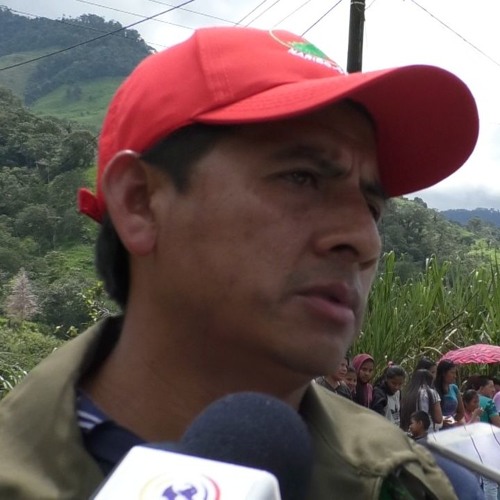 Stream Entrevista a Jaime Caicedo - Apoyo Jurídico CAMAWARI by ...