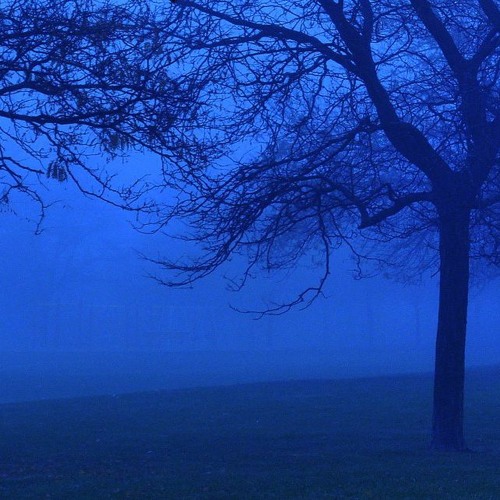 Stream Fifty Grand - Scary All Over - (Mitsuki Remix) by Mitsuki | Listen online for free on ...