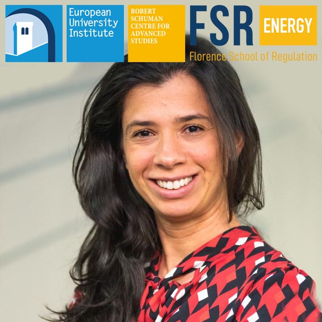 Stream Diving into Brazil’s energy transition | Agnes da Costa by FSR ...