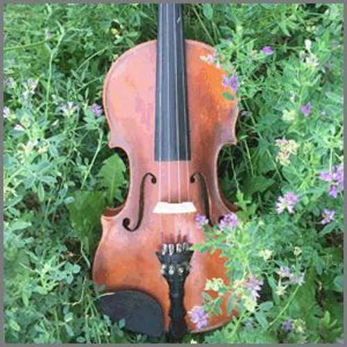 Stream The Kiss - fiddle! Sample Library from BOLDER Sounds by Bolder ...