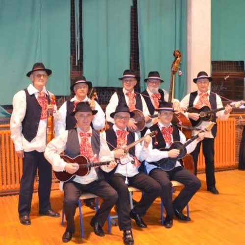 Stream Si Se Venci Venu by Davorin Sučec | Listen online for free on ...