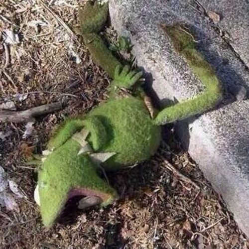 Stream Bo Mamba by Sus Puppets | Listen online for free on SoundCloud