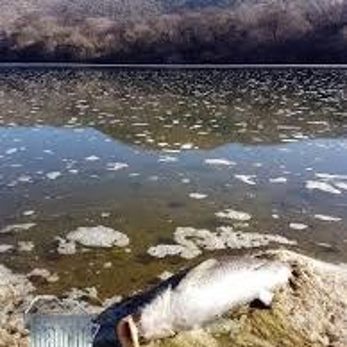 Stream Vaal River in distress - David Van Wyk by Radio Islam ...