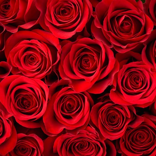 Stream Red Roses For A Blue Lady - Arr. Mikey Mills For 'A' Roll ...