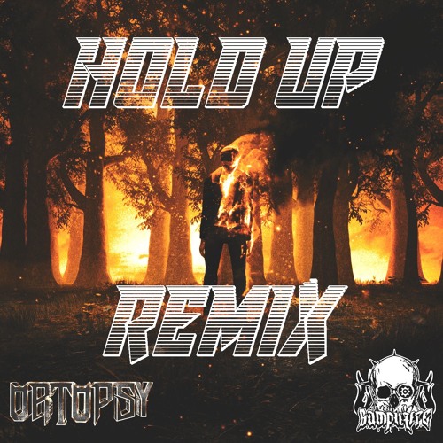 Stream SAMPLIFIRE - HOLD UP (ORTOPSY REMIX) by ORTOPSY | Listen online ...