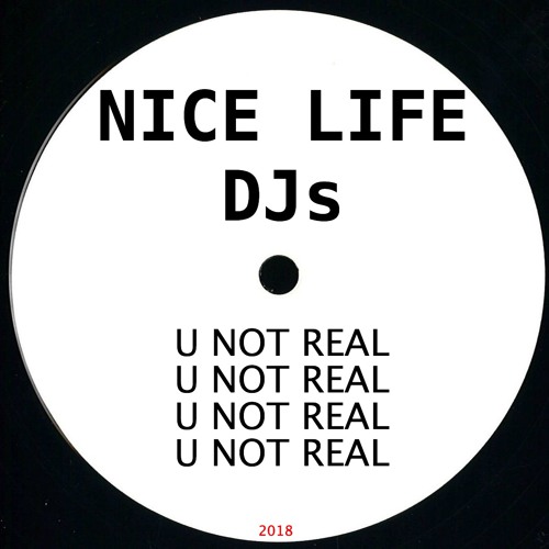 Stream NICE LIFE DJs - U Not Real by NICE LIFE | Listen online for free ...