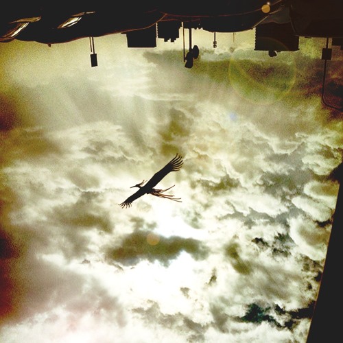 Stream Purple Echo by REACH_rh | Listen online for free on SoundCloud