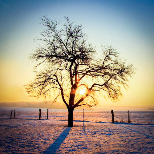 Stream Mark Slee - Glimmer: Wintershine [December 2018] by Mark Slee ...