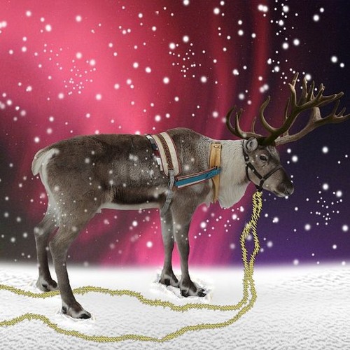 Stream SOUND OF THE WEEK 83: Christmas Reindeer Approach, Left To Right ...