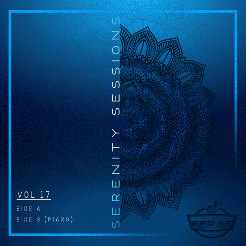 Stream Serenity Sessions With Pro - T Vol 17 by Pro-t | Listen online for free on SoundCloud