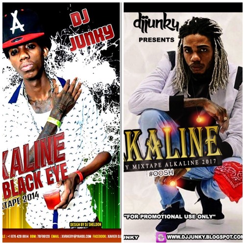 Stream DJ Junky | Listen to DJJUNKY PRESENTS - ALKALINE MIXTAPE ...