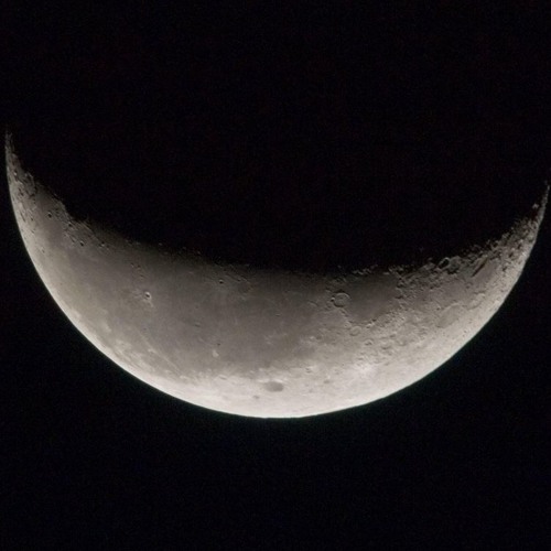 Stream Daria Gremed | Listen to moon longing playlist online for free ...