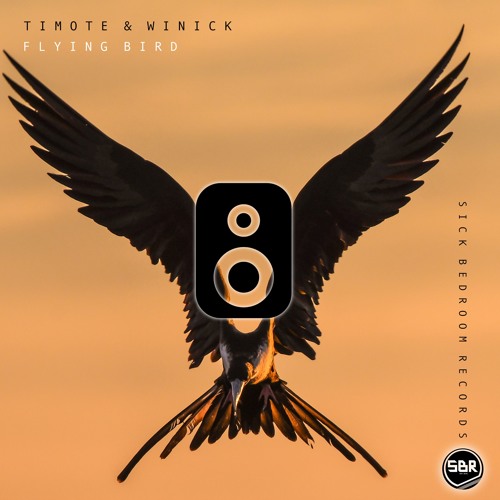 Stream Timote & Winick - Flying Bird (Original Mix)(FREE DOWNLOAD) by ...