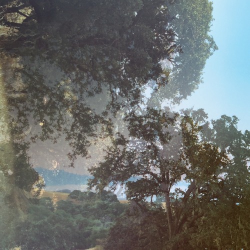 Stream The 'Schofield Kid', Bill Munny, Ralph Stanley, Black Thought ...